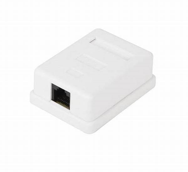 Cattex CAT6 Single Wall Box - Networking — Network Computer Wireless